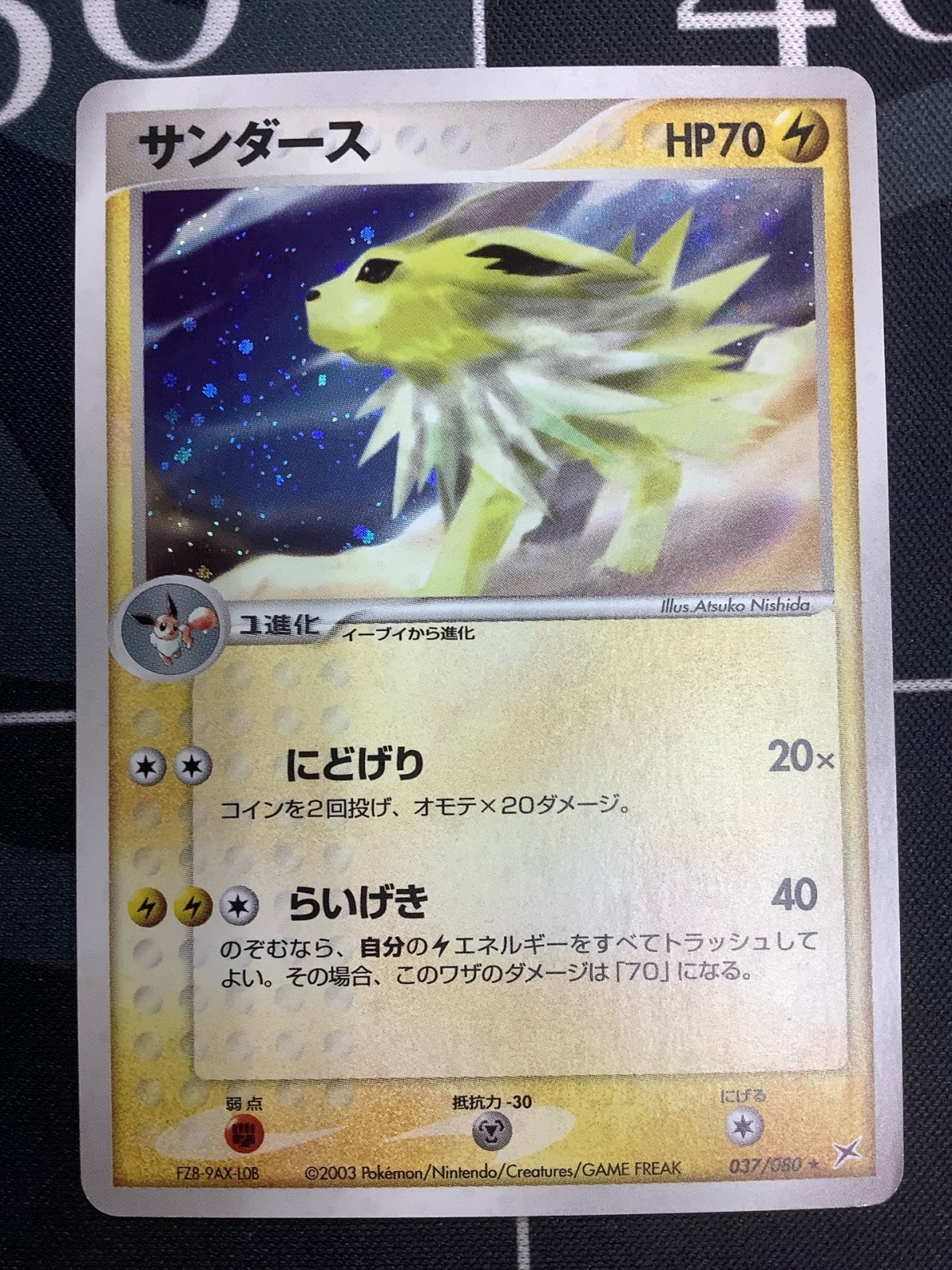 サンダース 【実物写真】 - ENNDAL GAMES2